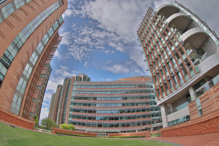 SWSA at a Glance | HKU SWSA